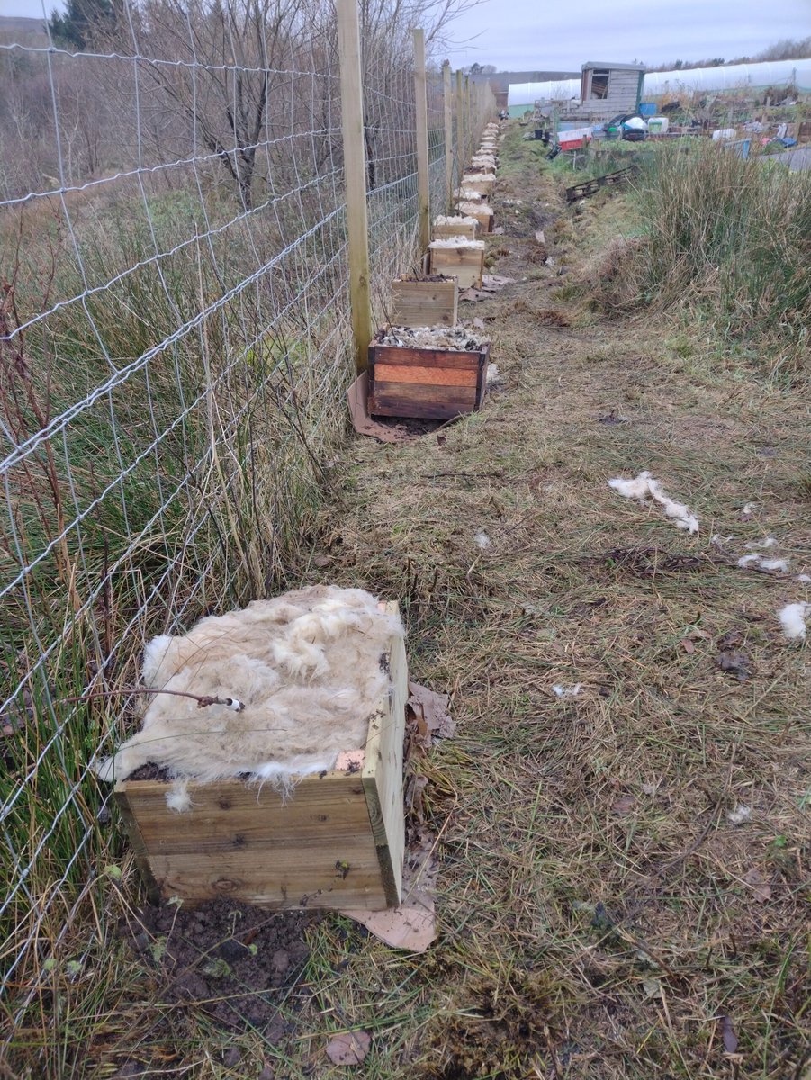 Social Juice (Neil Clapperton- Producer) | Scottish Apple Producers