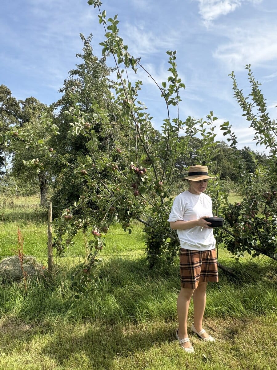 SAP Annual meeting 2025- Takeaways | Scottish Apple Producers